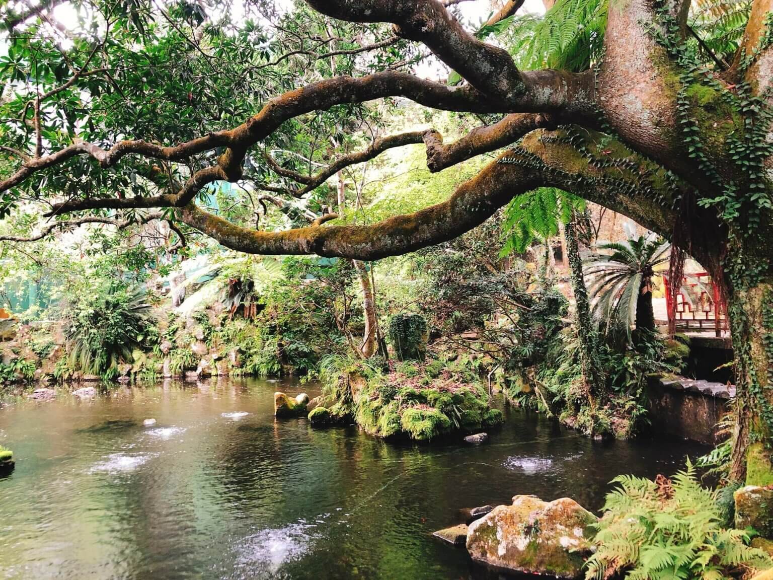 Yangmingshan National Park Guide | Edison Tours