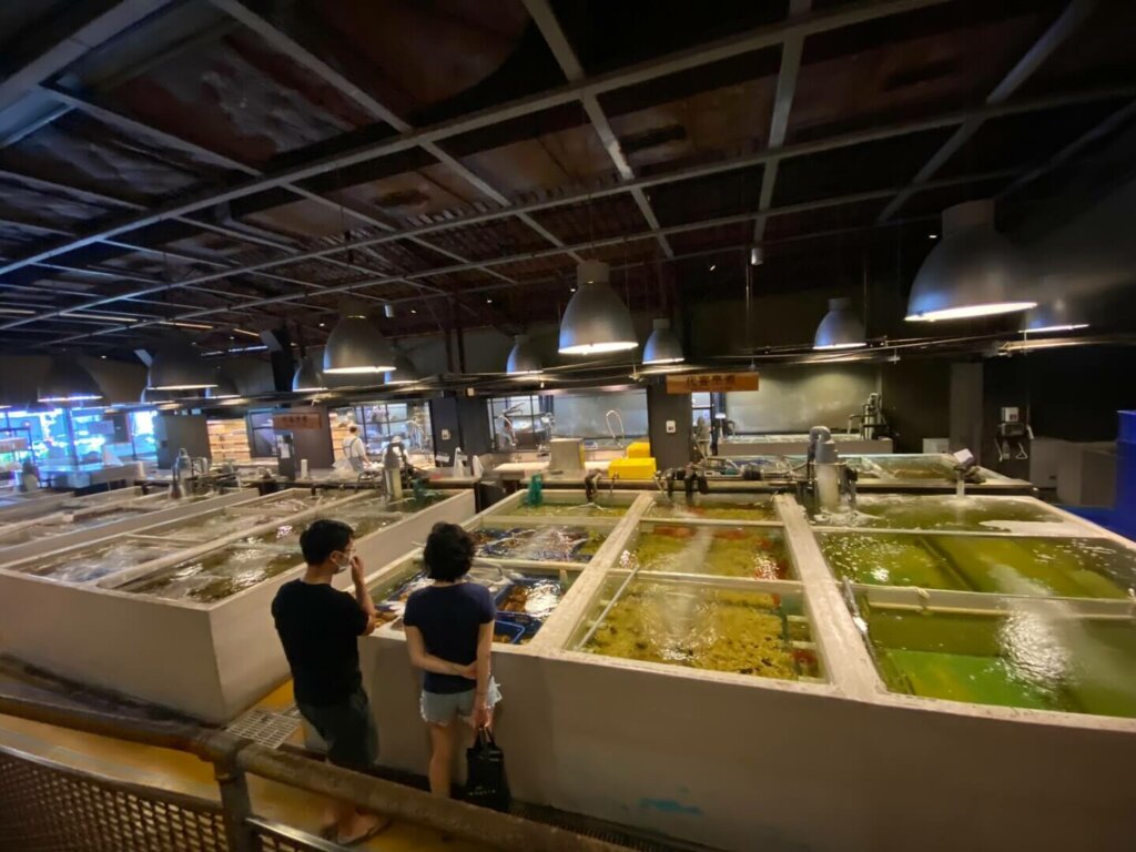 Taiwan Culinary Exhibition and Market Visit Day Tour | Edison Tours