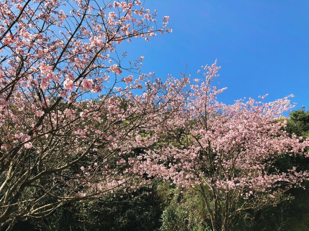 Private Taipei Yangmingshan National Park and Jinshan Day Tour | Edison ...