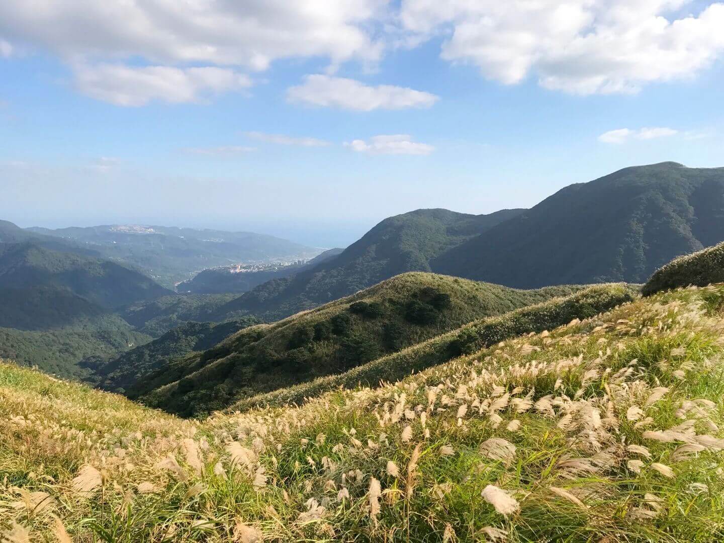 Visiting Taipei in December: Get the Most out of Your Christmas ...