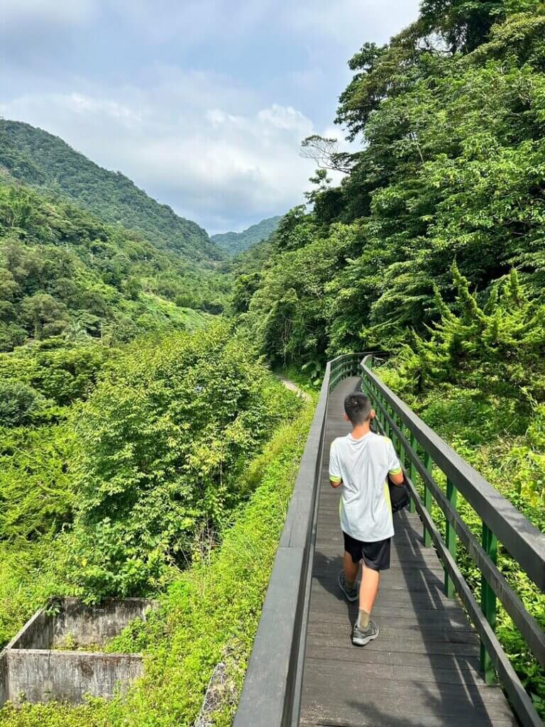 Maokong Gondola and Tea Culture Tour | Edison Tours