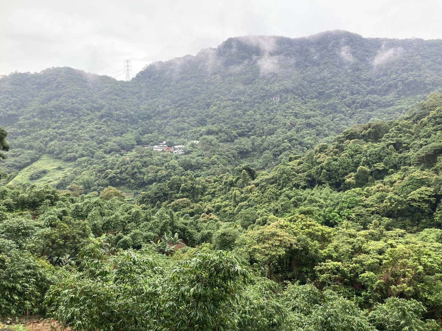 Maokong Gondola and Tea Culture Tour | Edison Tours