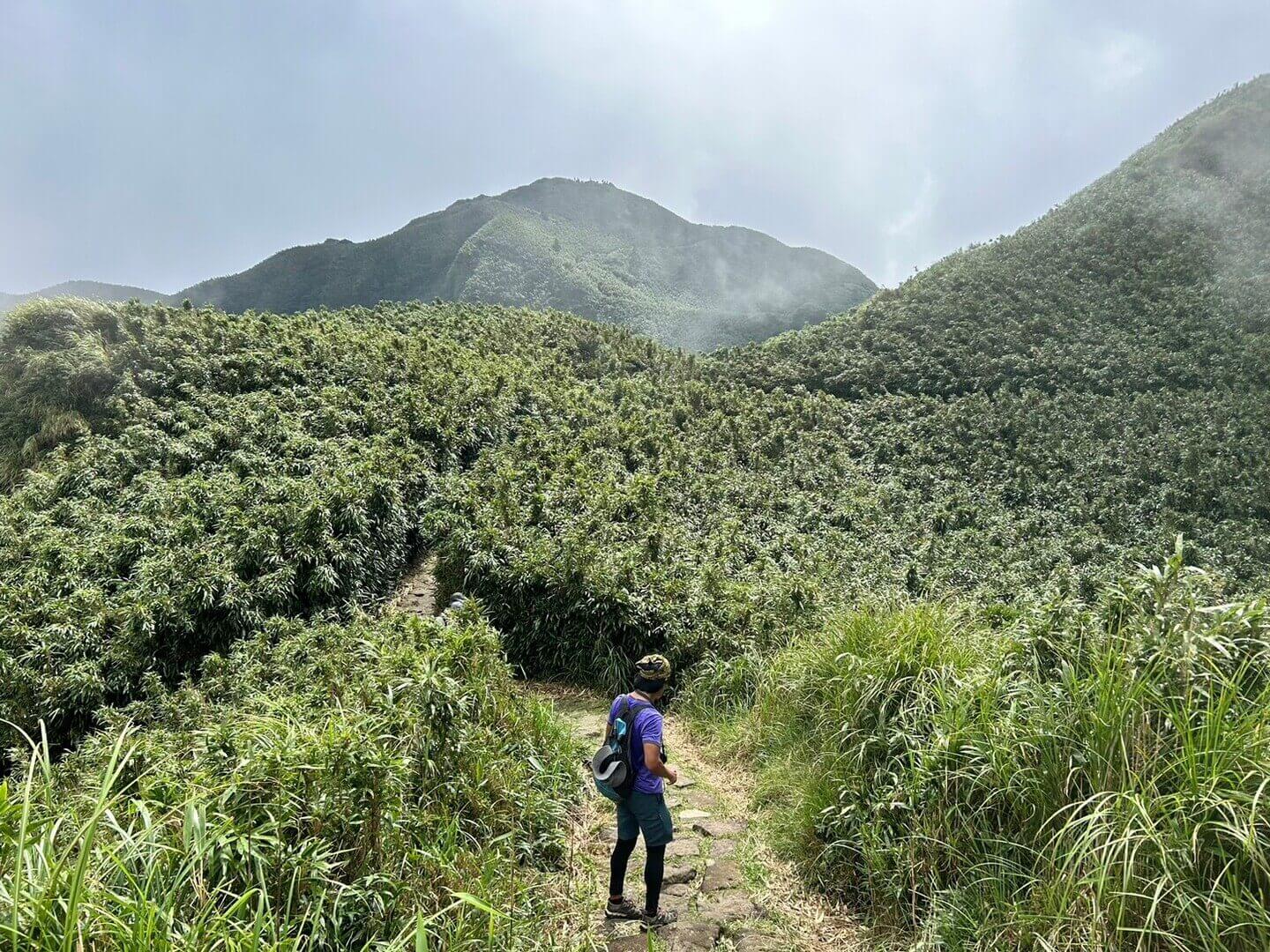 Conquer the Clouds: Scaling the Top of Mt. Qixing, the Highest Mountain ...